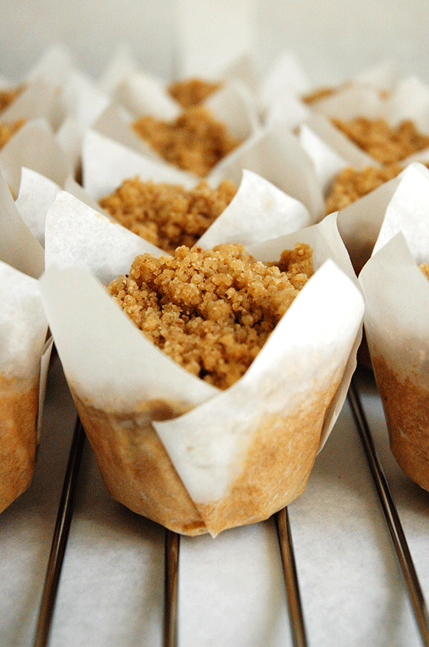 Proyectos – Portable Diseño